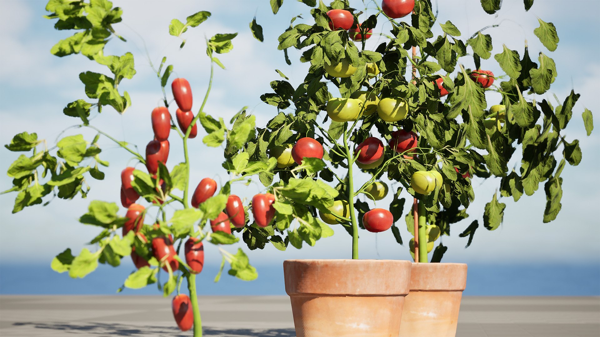 3D Realistic Tomato Plant Model - TurboSquid 2325146