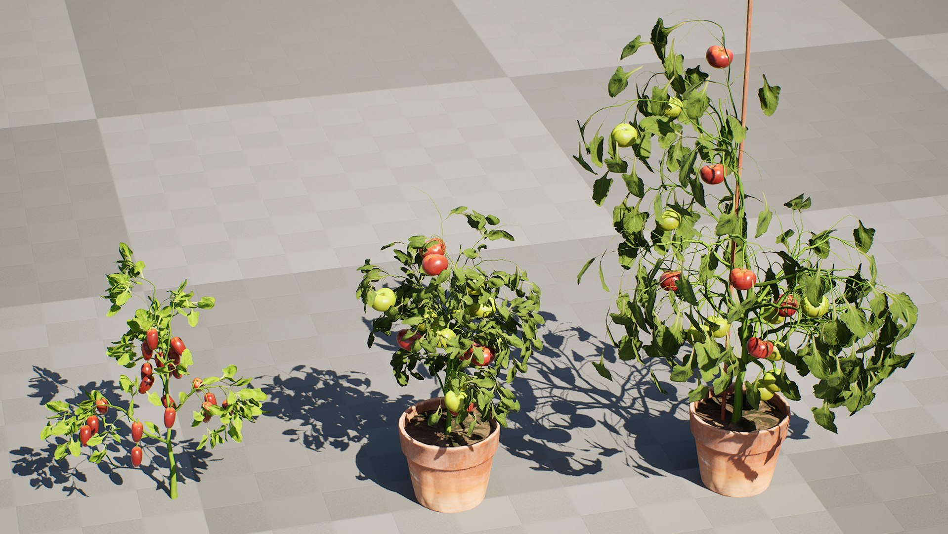 3D Realistic Tomato Plant Model - TurboSquid 2325146