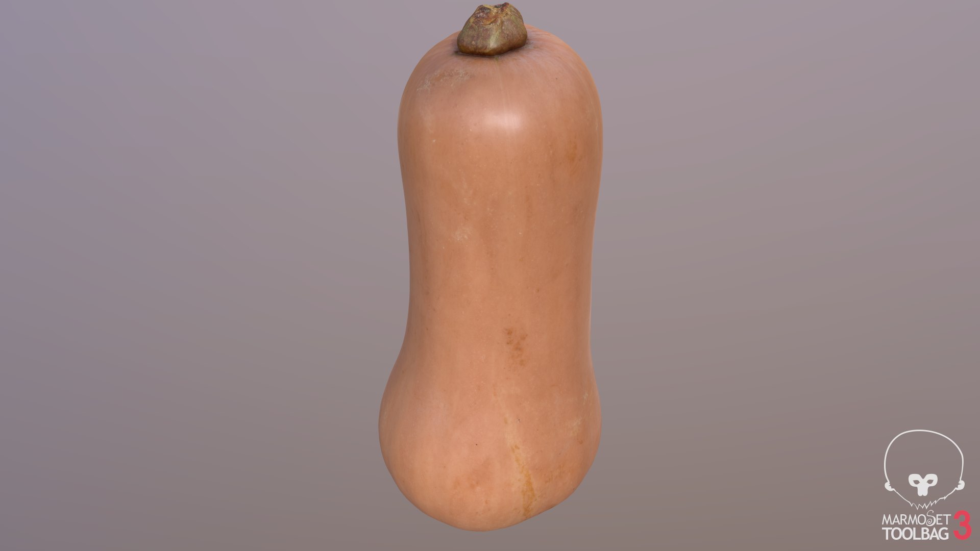 3D Model Butternut Pbr - TurboSquid 1701023