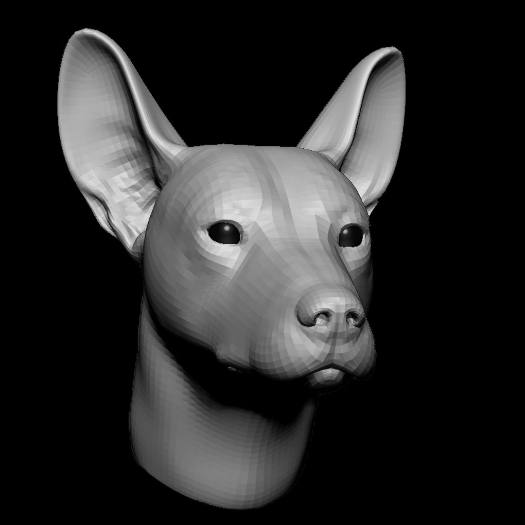3D Animal Head Base Vol 1 - TurboSquid 1430834
