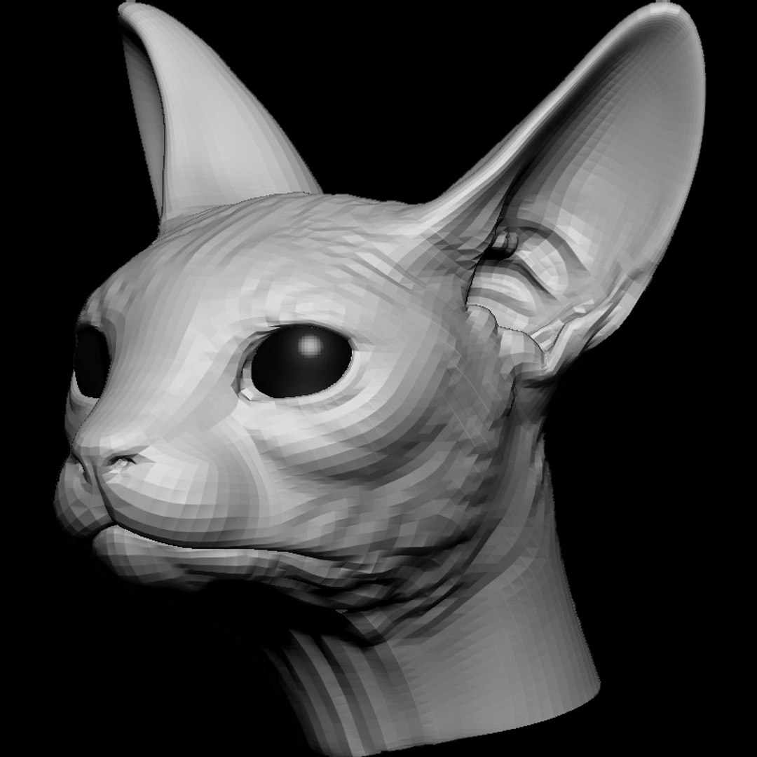 3D Animal Head Base Vol 1 - TurboSquid 1430834