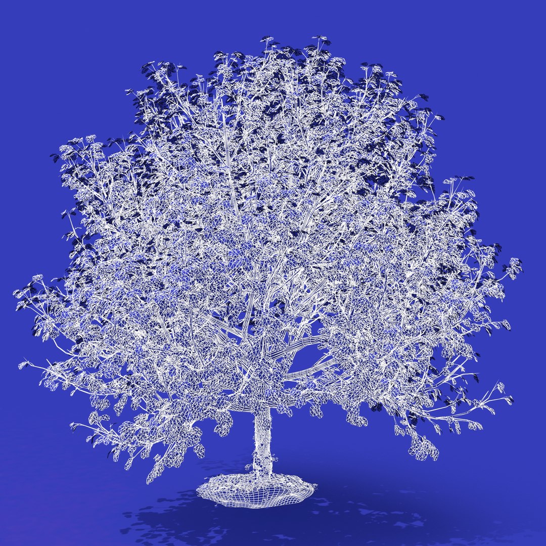3D Realistic Tree Model - TurboSquid 1164890