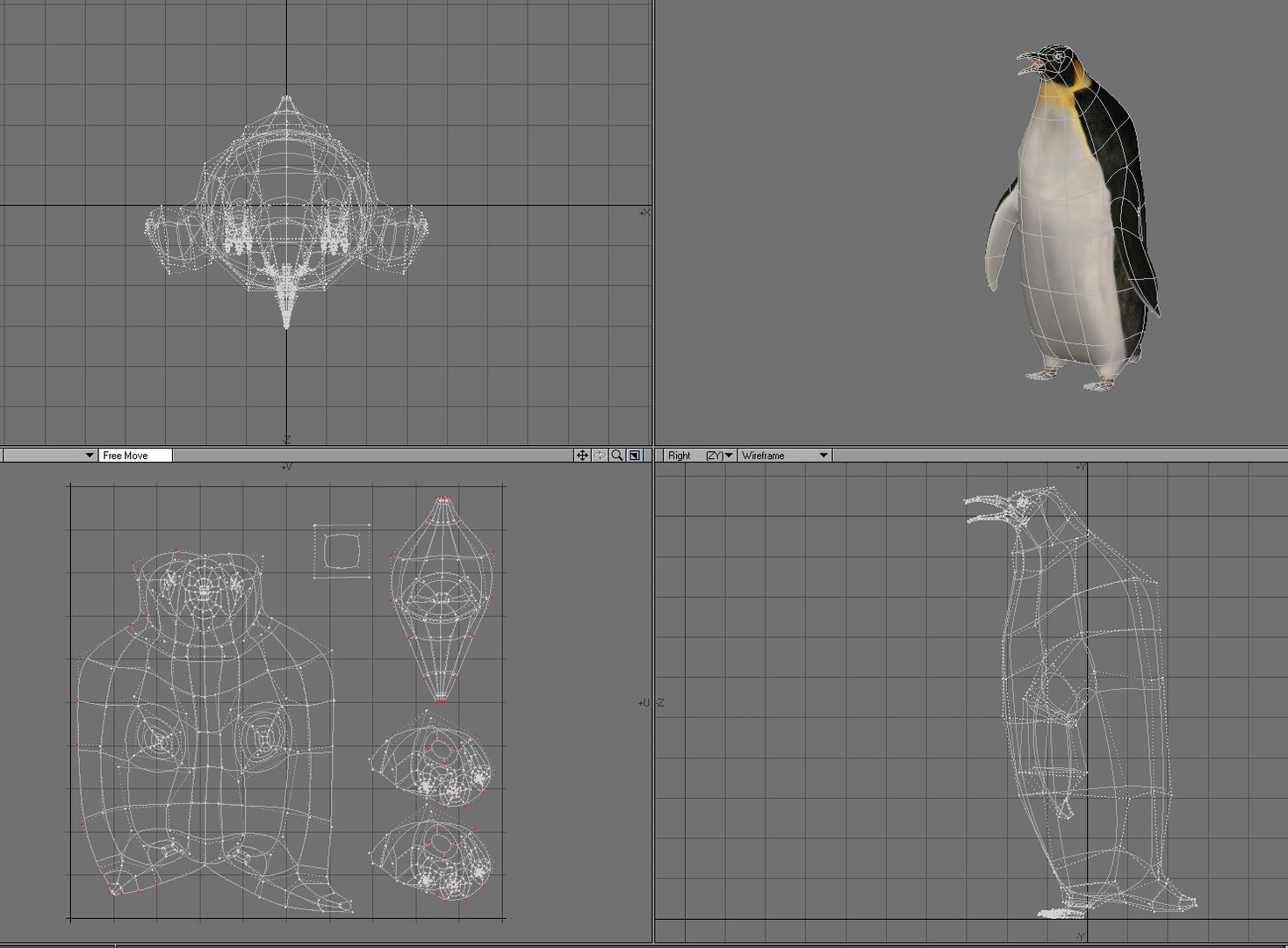 3d Model Penguin Animation