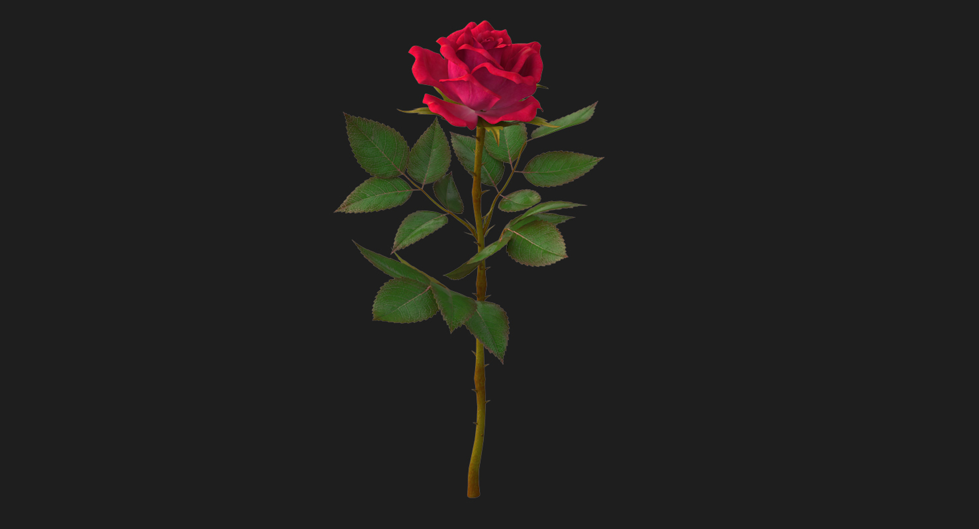 Red Rose 3D Model - TurboSquid 1325094