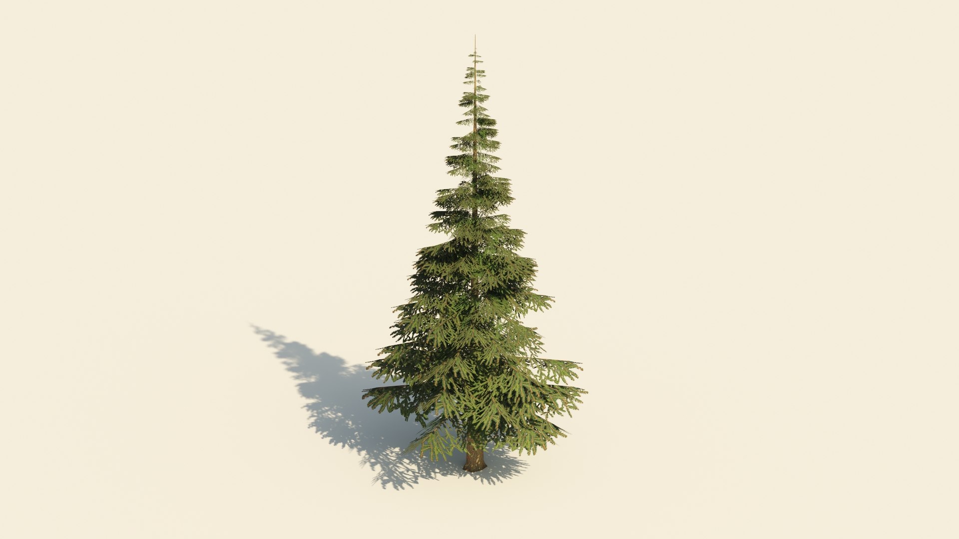3D Model Spruces Low Poly Collection - TurboSquid 2320209