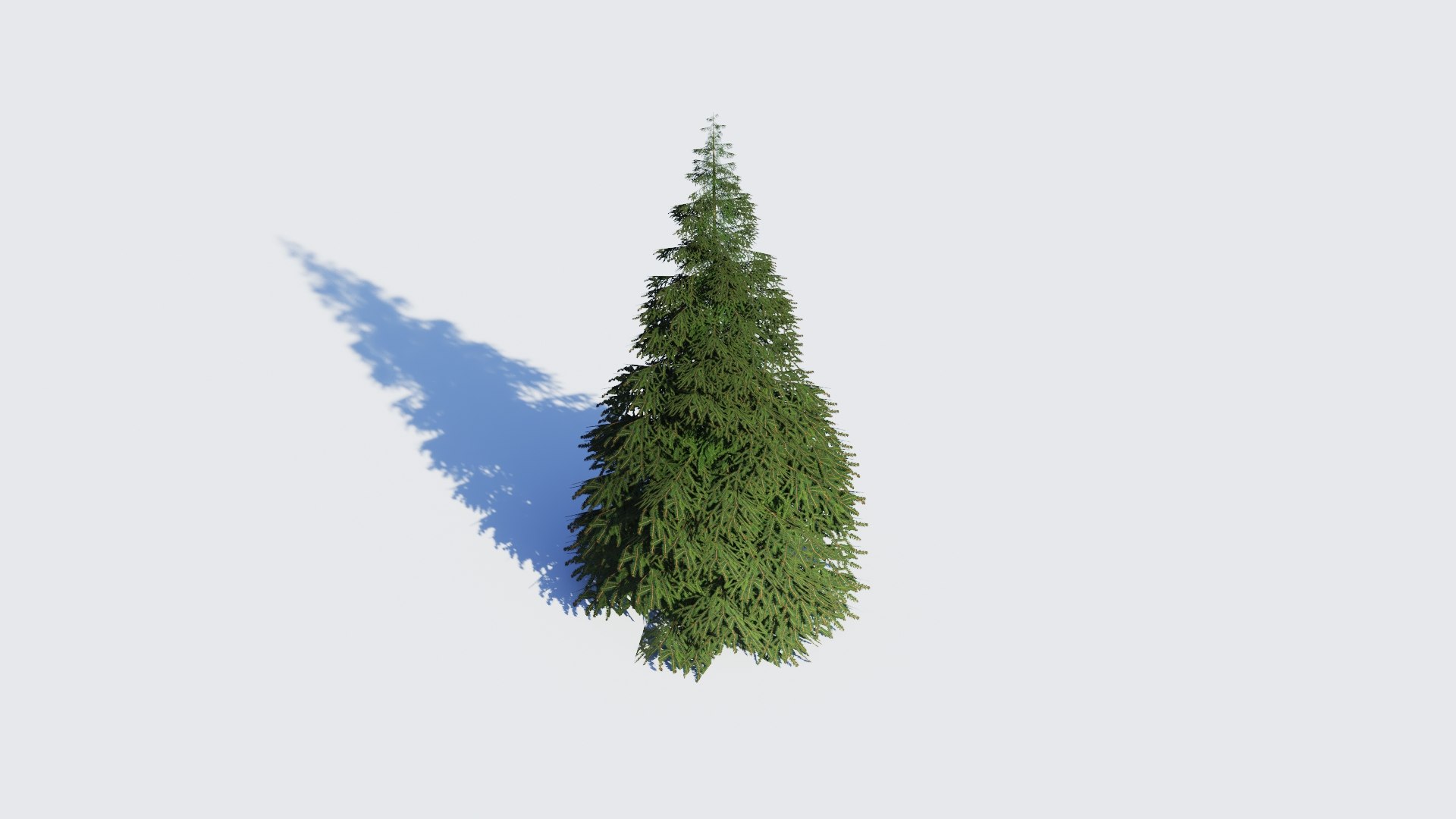 3D Model Spruces Low Poly Collection - TurboSquid 2320209