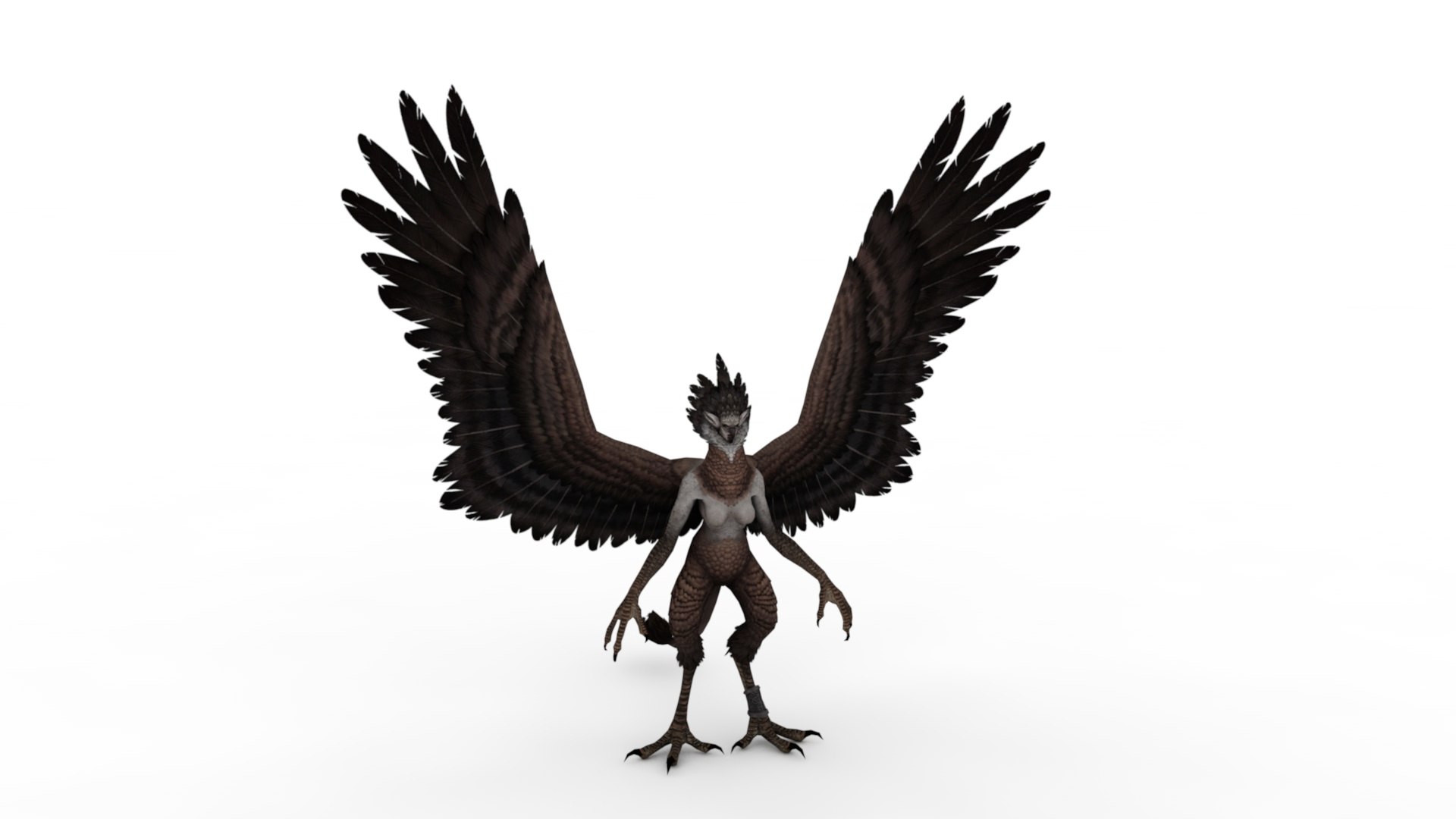 Harpy 3D - TurboSquid 2123739