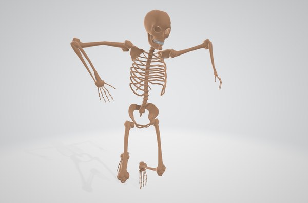 Male Skeleton 3D Models for Download | TurboSquid