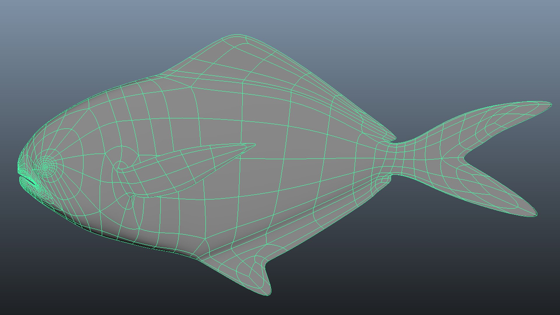 3D Saltwater Fish Collection 19 - TurboSquid 1837197