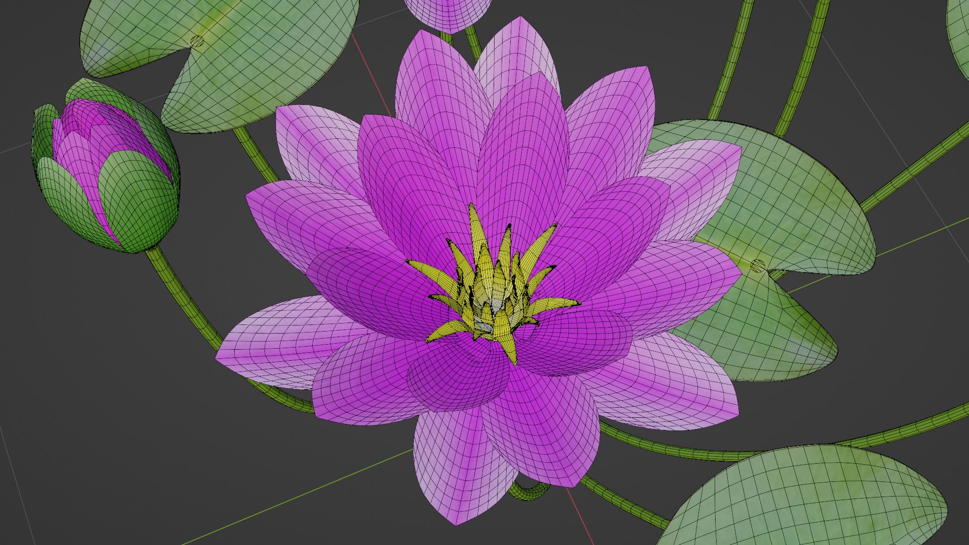 Water Lily Pink 3D Model - TurboSquid 2070946