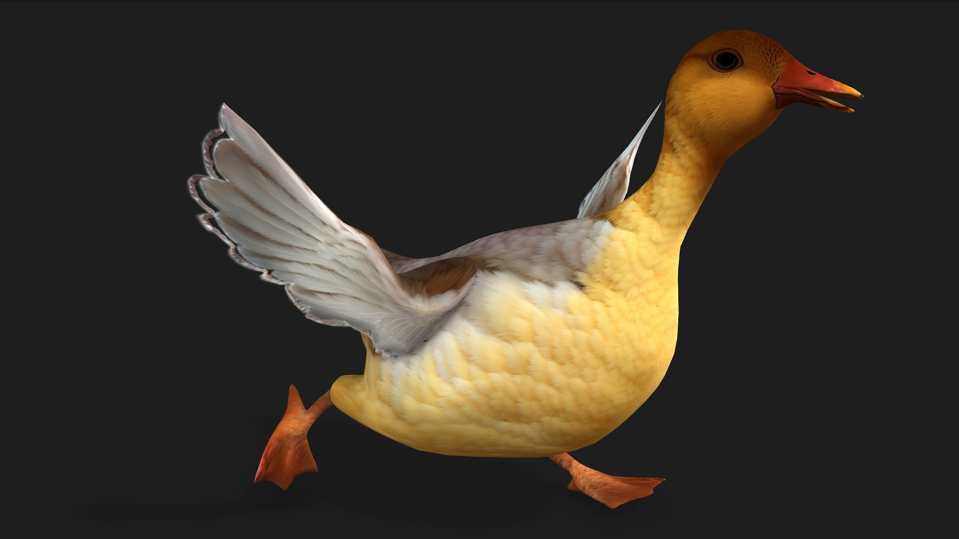 Duck-A8 Model - TurboSquid 2430203