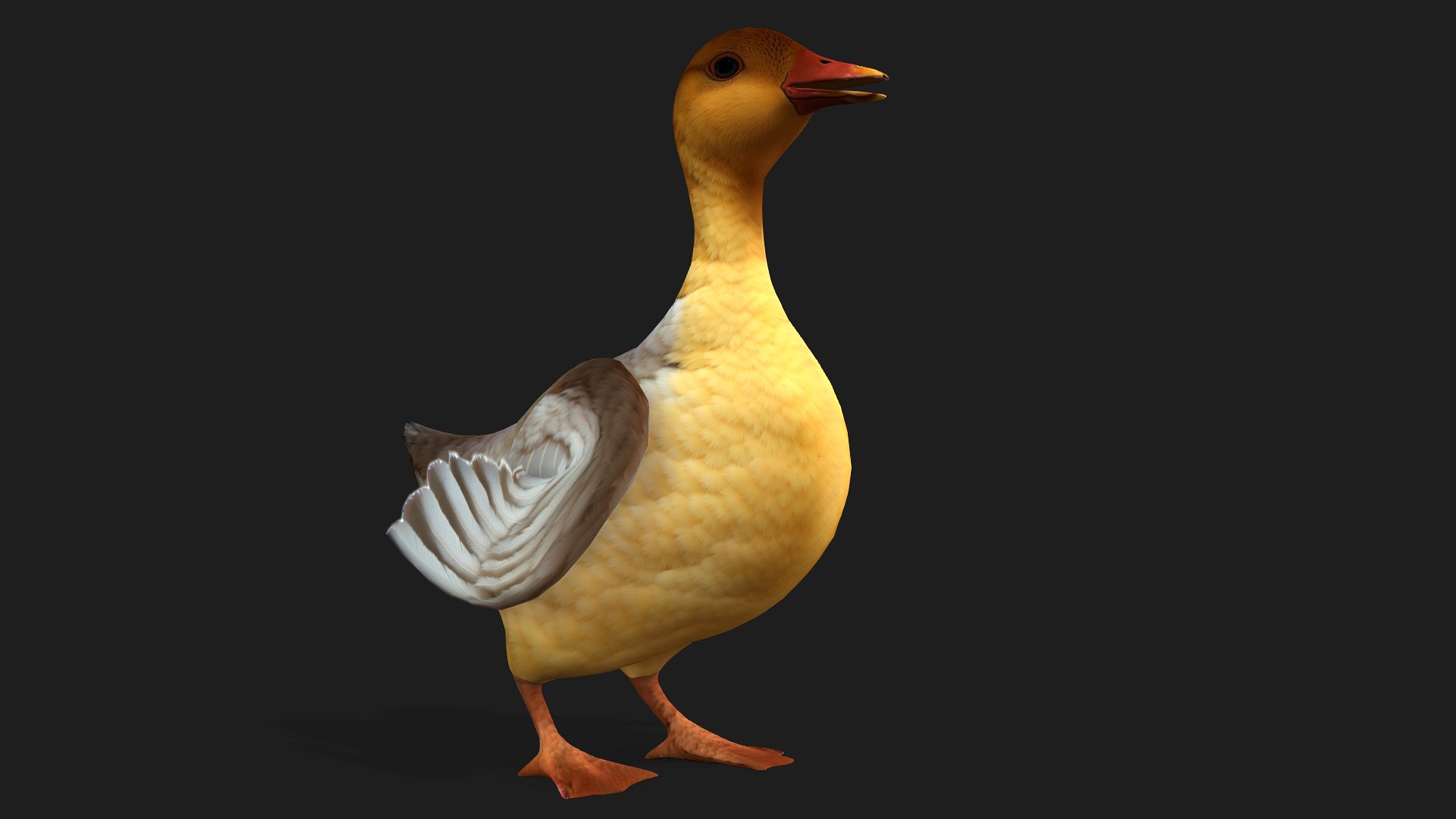 Duck-A8 Model - TurboSquid 2430203