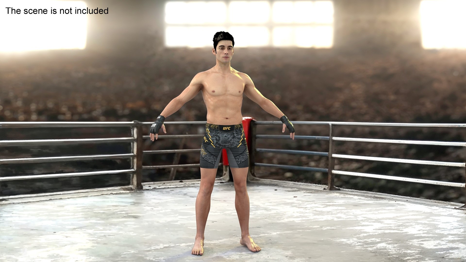 3D UFC MMA Fighter Wet With Sweat A-Pose Fur Model - TurboSquid 2333967