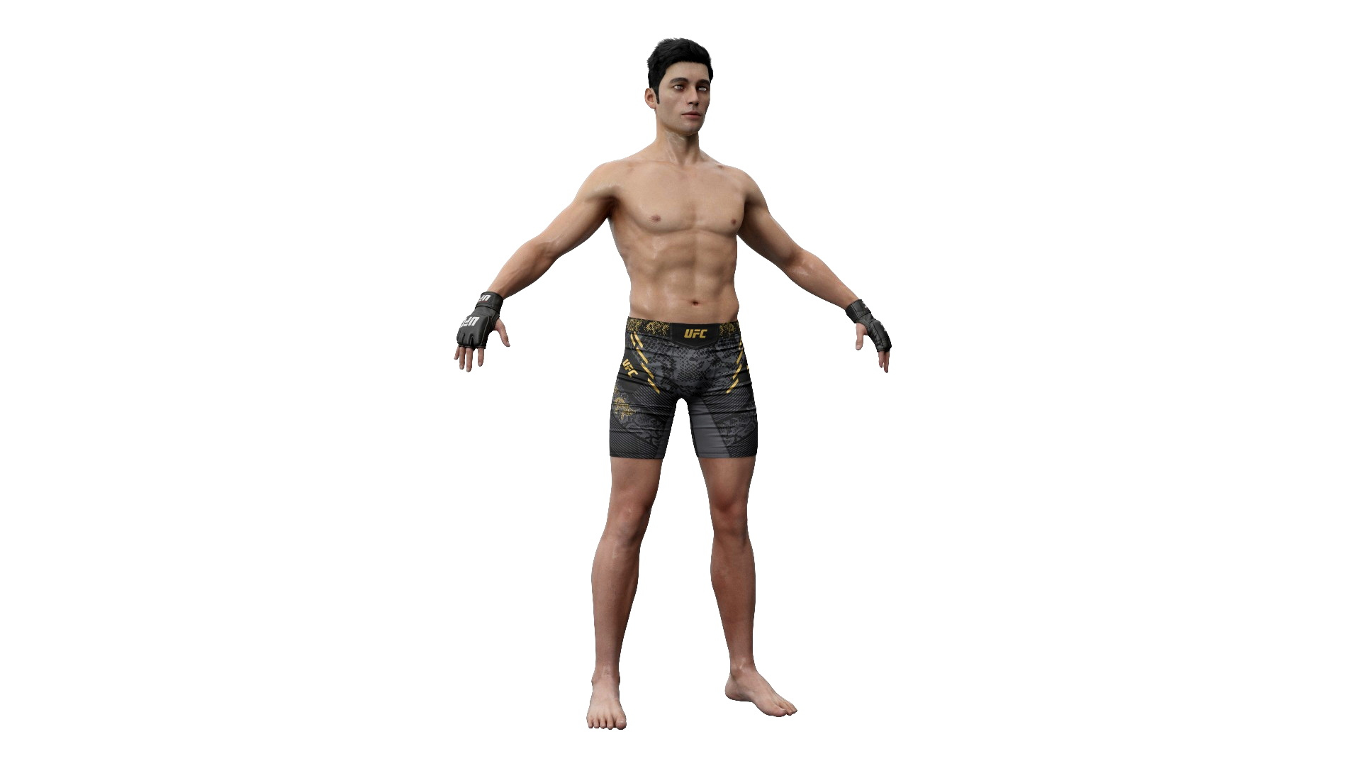 3D UFC MMA Fighter Wet With Sweat A-Pose Fur Model - TurboSquid 2333967