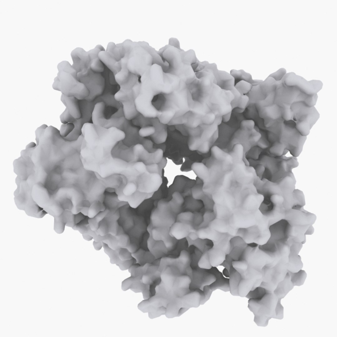 Exosome Protein Organic Max