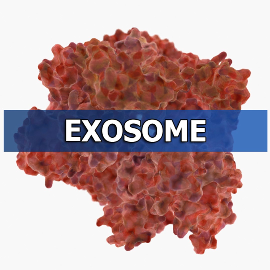 exosome protein organic max