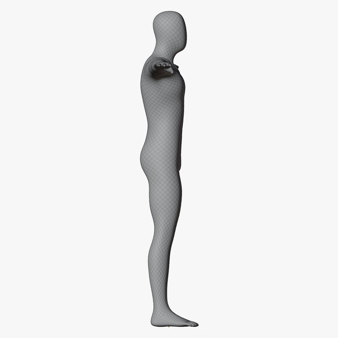 3D T-pose Male Mannequin - TurboSquid 2237343