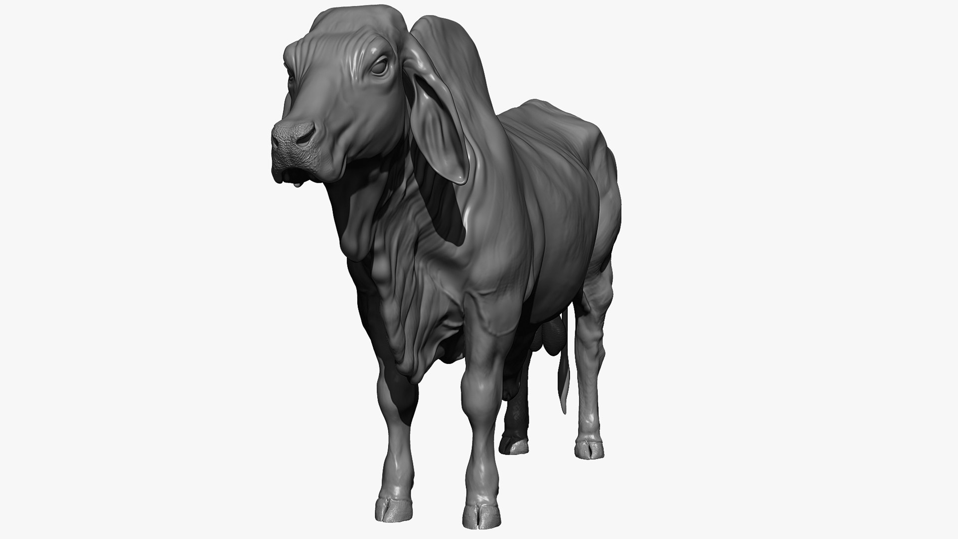 Indian Bull 3D Model - TurboSquid 1702648
