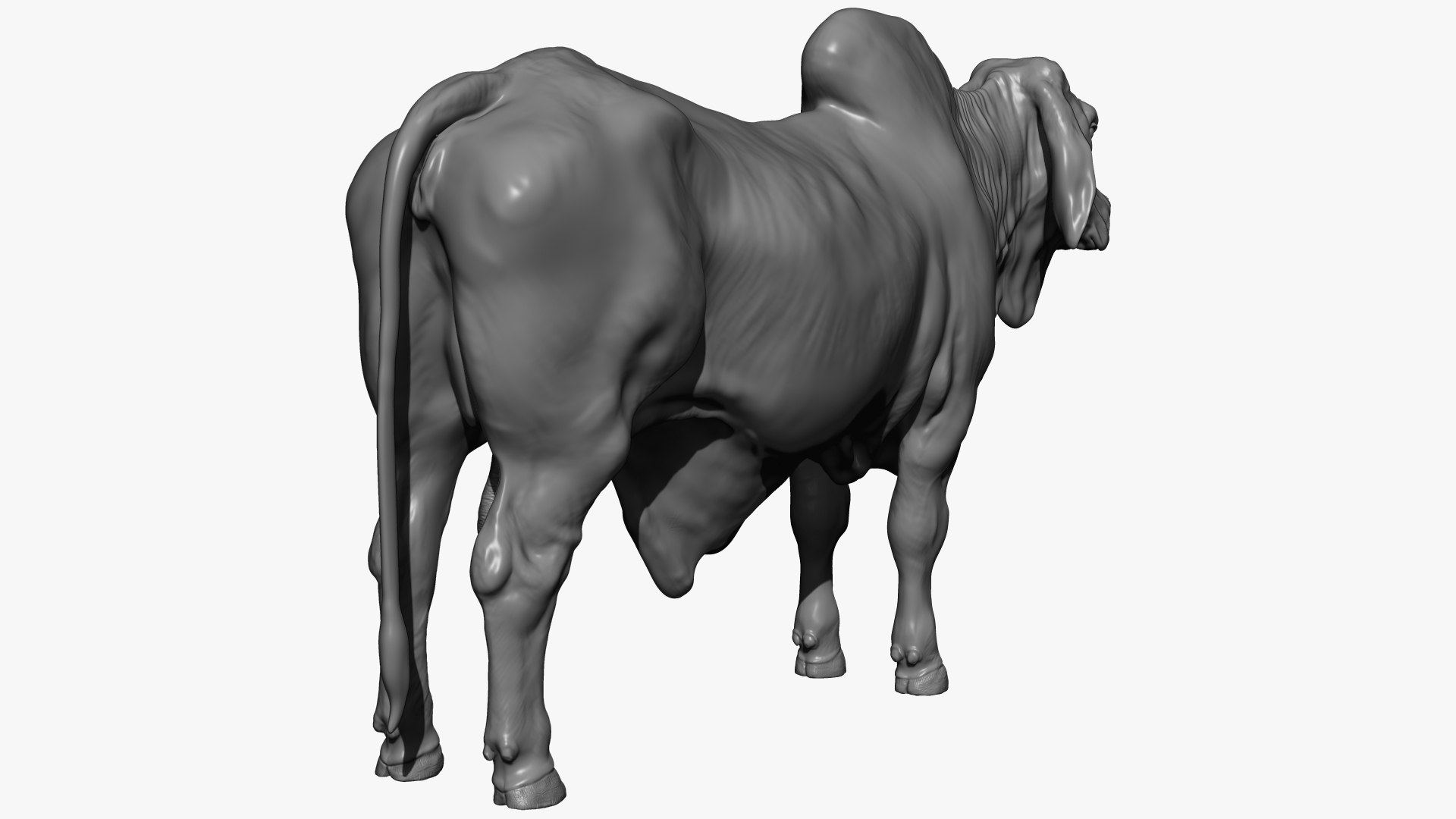 Indian Bull 3D Model - TurboSquid 1702648
