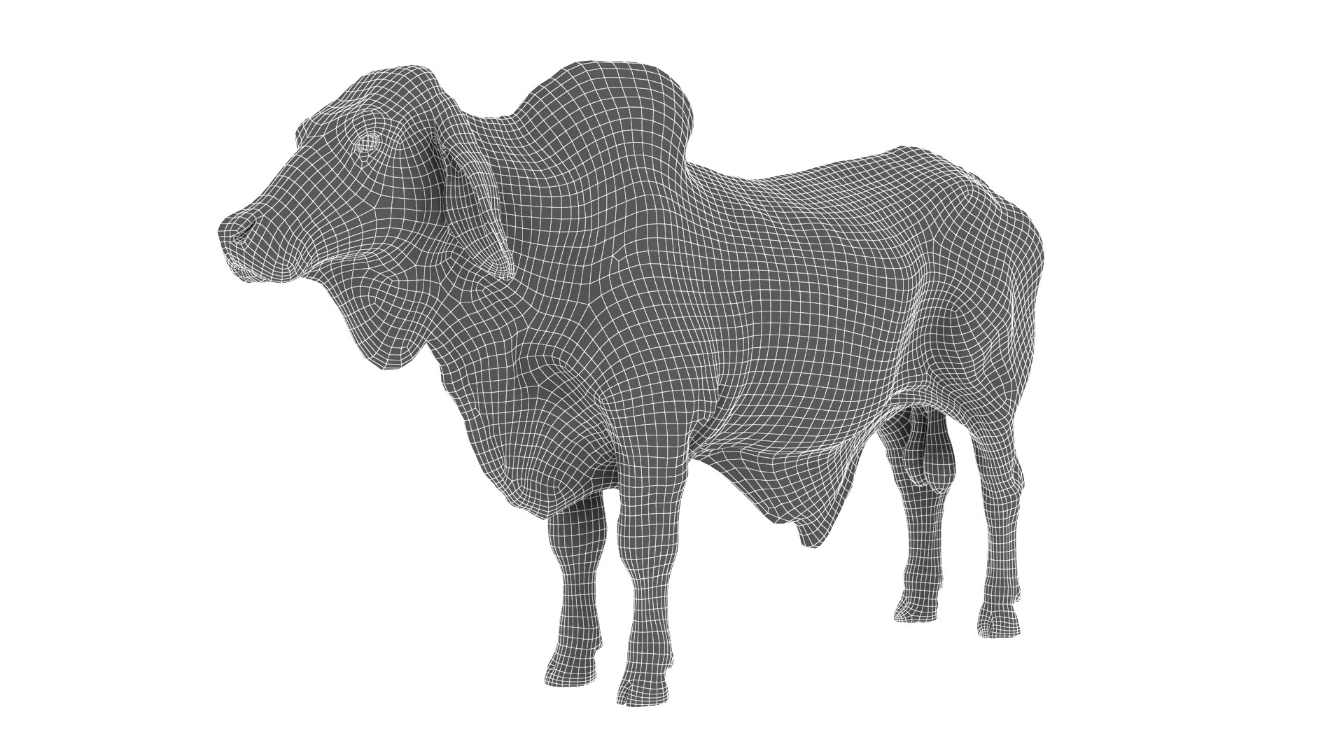 Indian Bull 3D Model - TurboSquid 1702648
