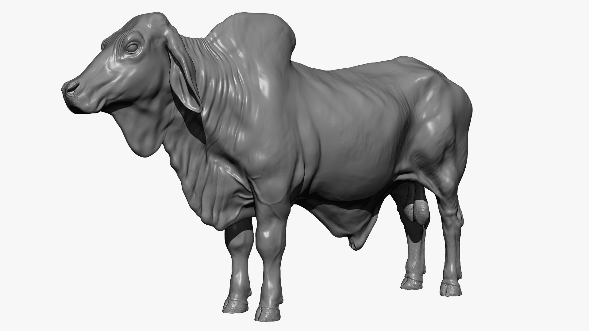 Indian Bull 3D Model - TurboSquid 1702648