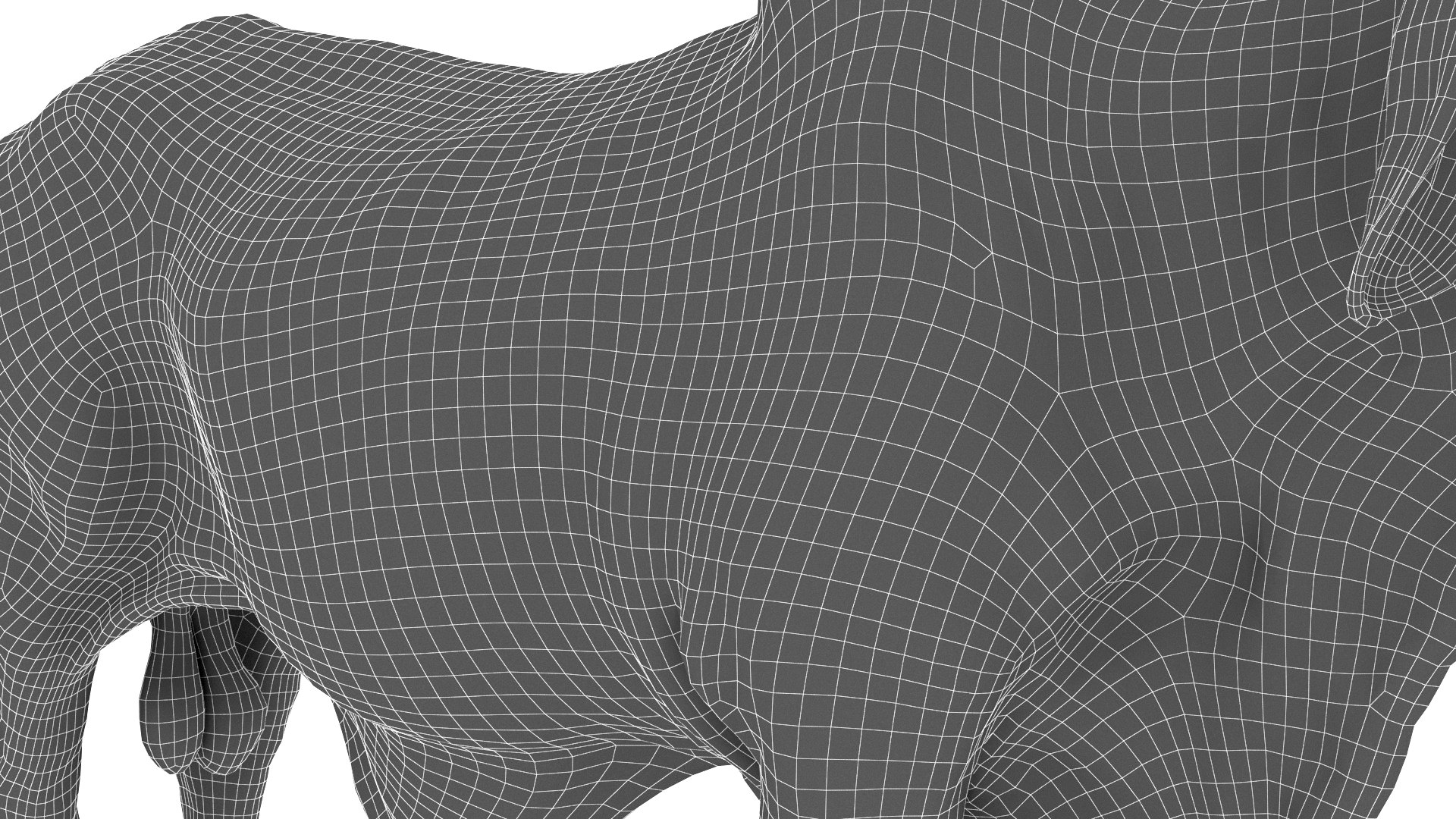 Indian Bull 3D Model - TurboSquid 1702648