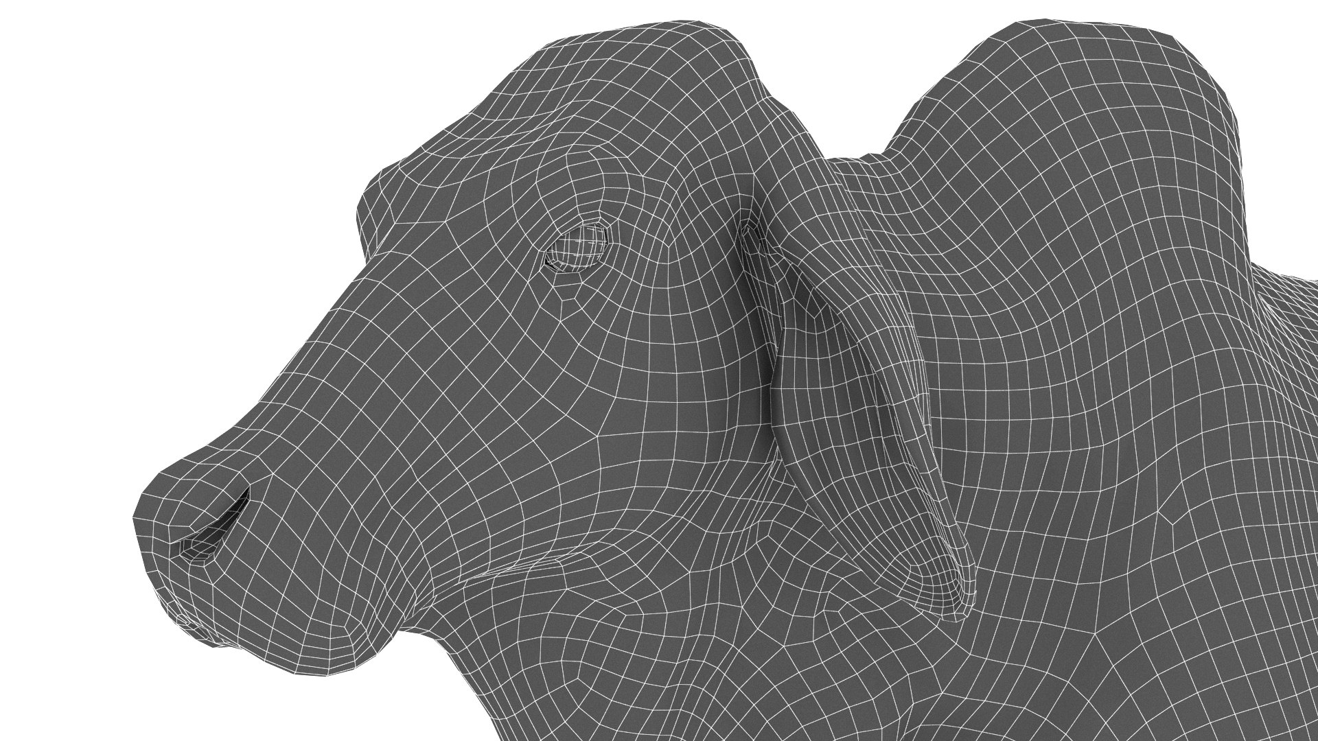 Indian Bull 3D Model - TurboSquid 1702648