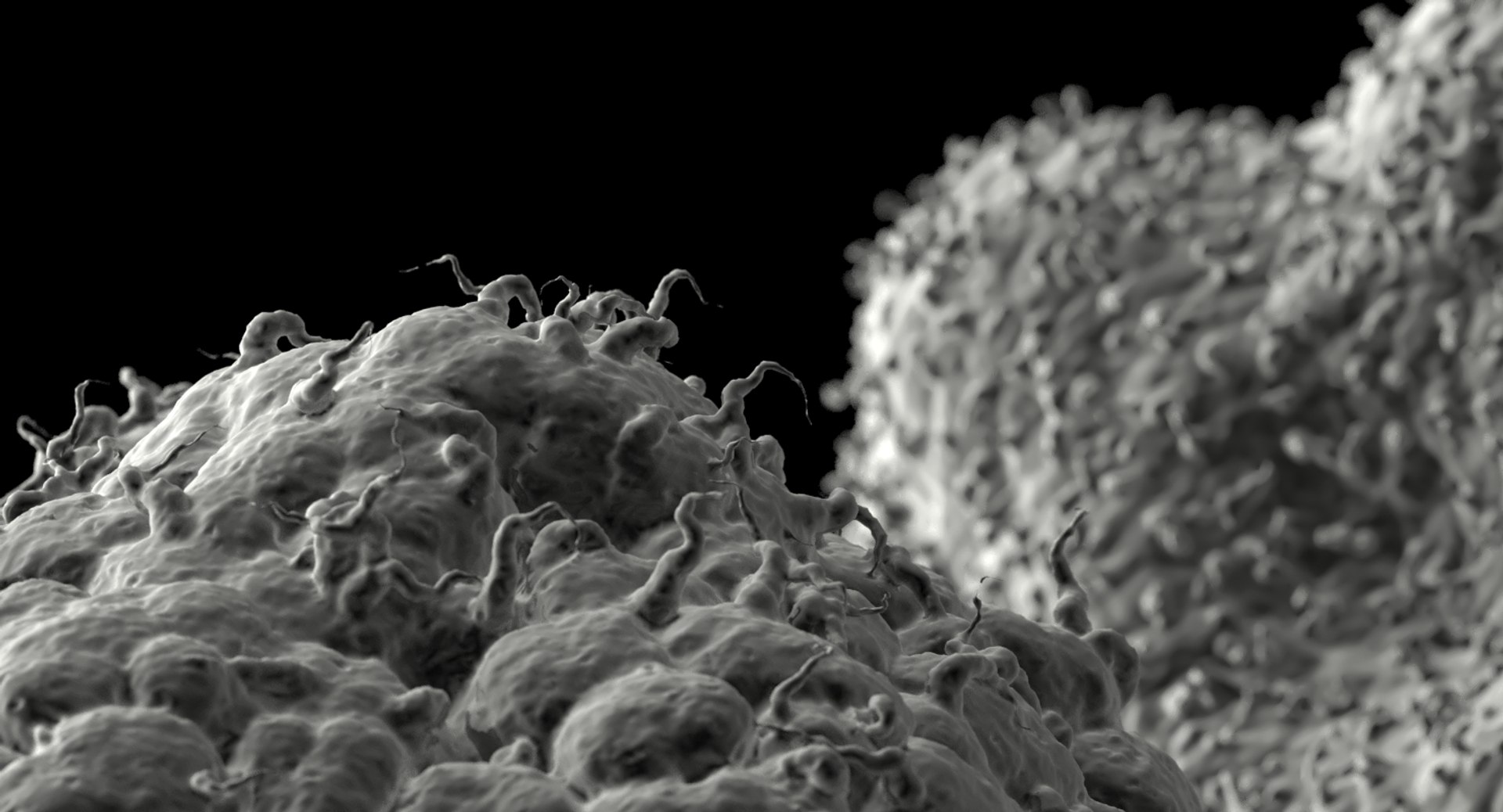 Cancer Cell 3D - TurboSquid 1309926