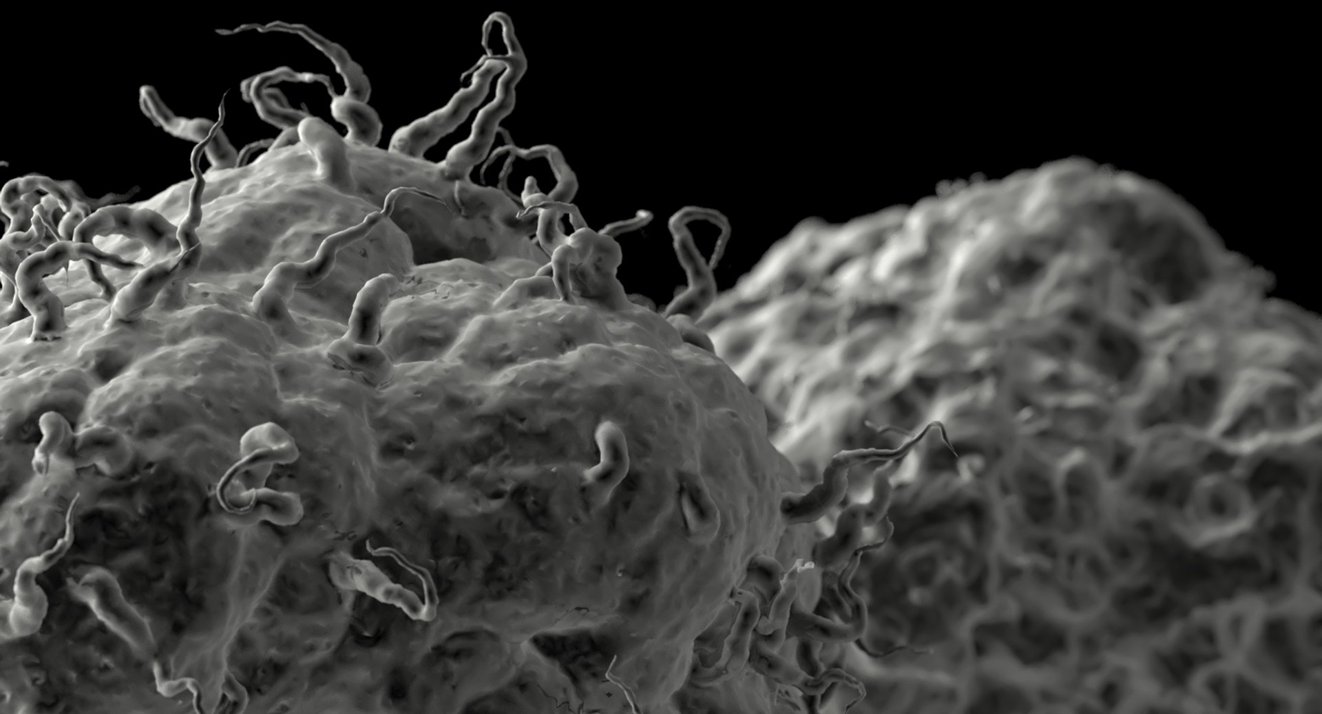 Cancer Cell 3D - TurboSquid 1309926