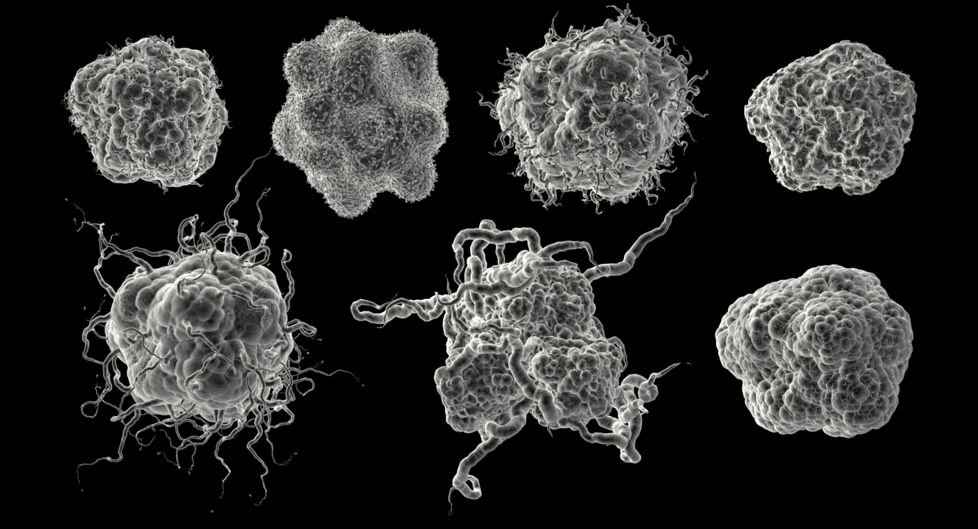 Cancer cell 3D - TurboSquid 1309926