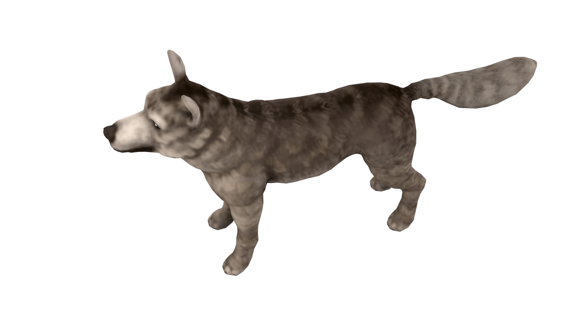 Wolf Rig High-poly Textured 3D Model - TurboSquid 2345356