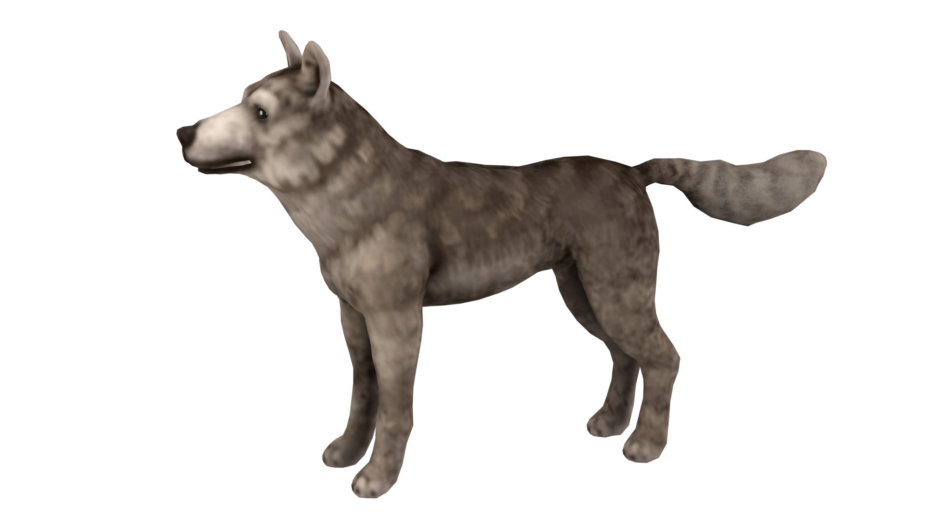 Wolf Rig High-poly Textured 3D Model - TurboSquid 2345356