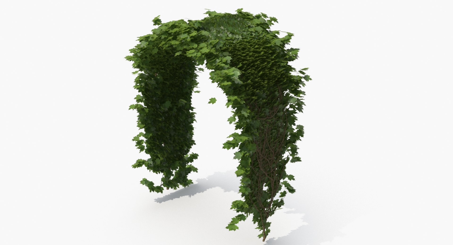 Ivy Model - TurboSquid 1243212