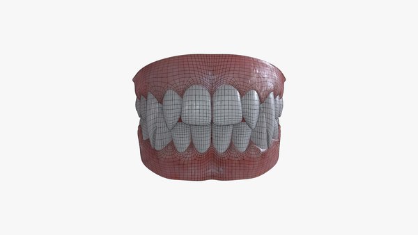 3D TET-002 Rigged Teeth - TurboSquid 1993501