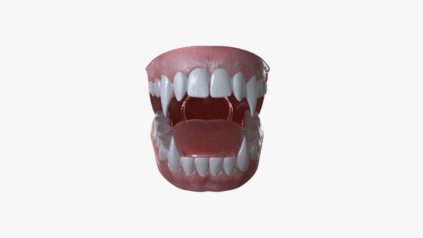 3D TET-002 Rigged Teeth - TurboSquid 1993501