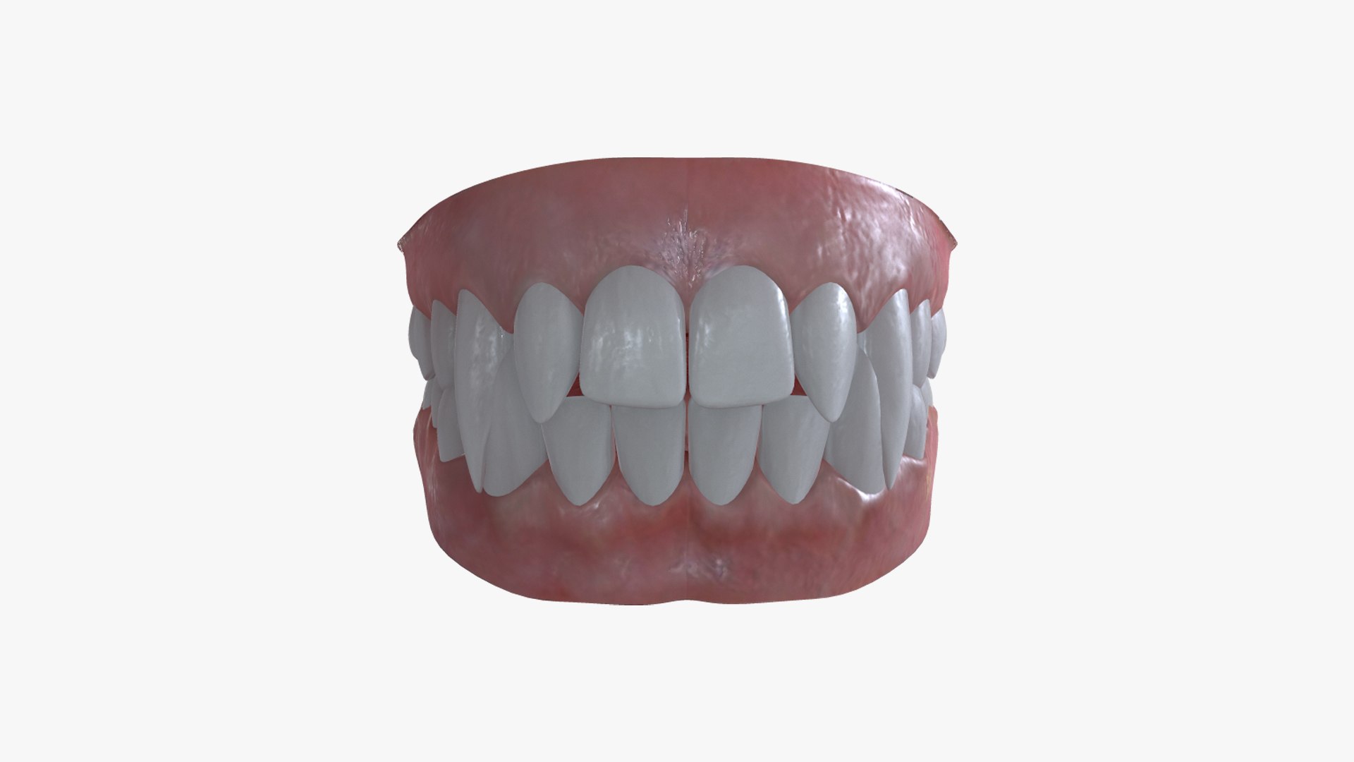 3D TET-002 Rigged Teeth - TurboSquid 1993501