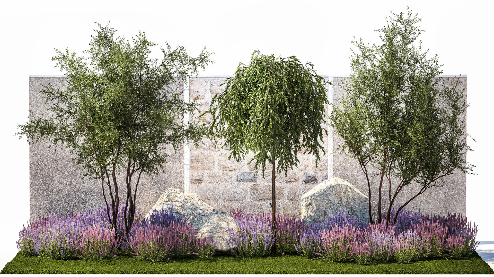 3D Beautiful Garden With Olive Elaeagnus Lavender Flowers 1372 Model - TurboSquid 2108966