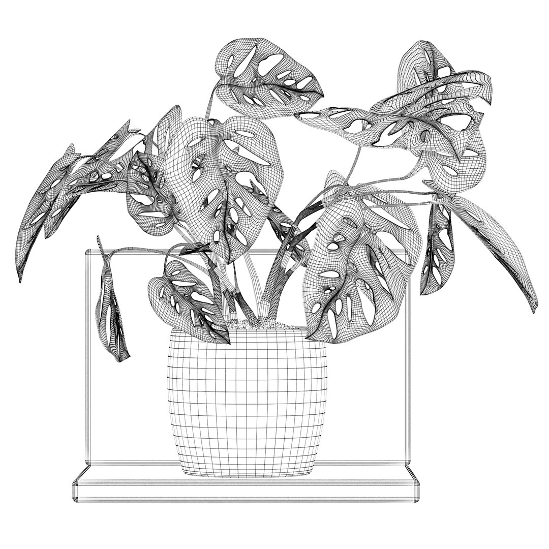 Monstera Monkey Mask 01 3D Model - TurboSquid 1962032