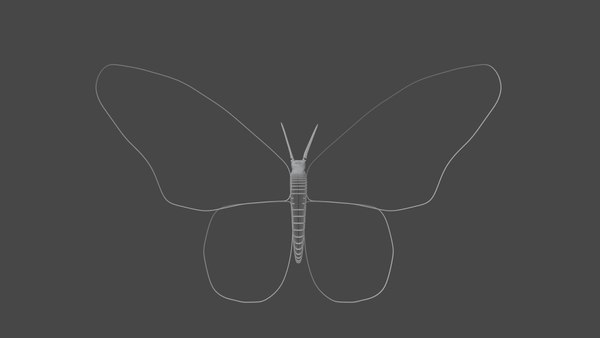 Animated Butterfly 3D model - TurboSquid 1924749