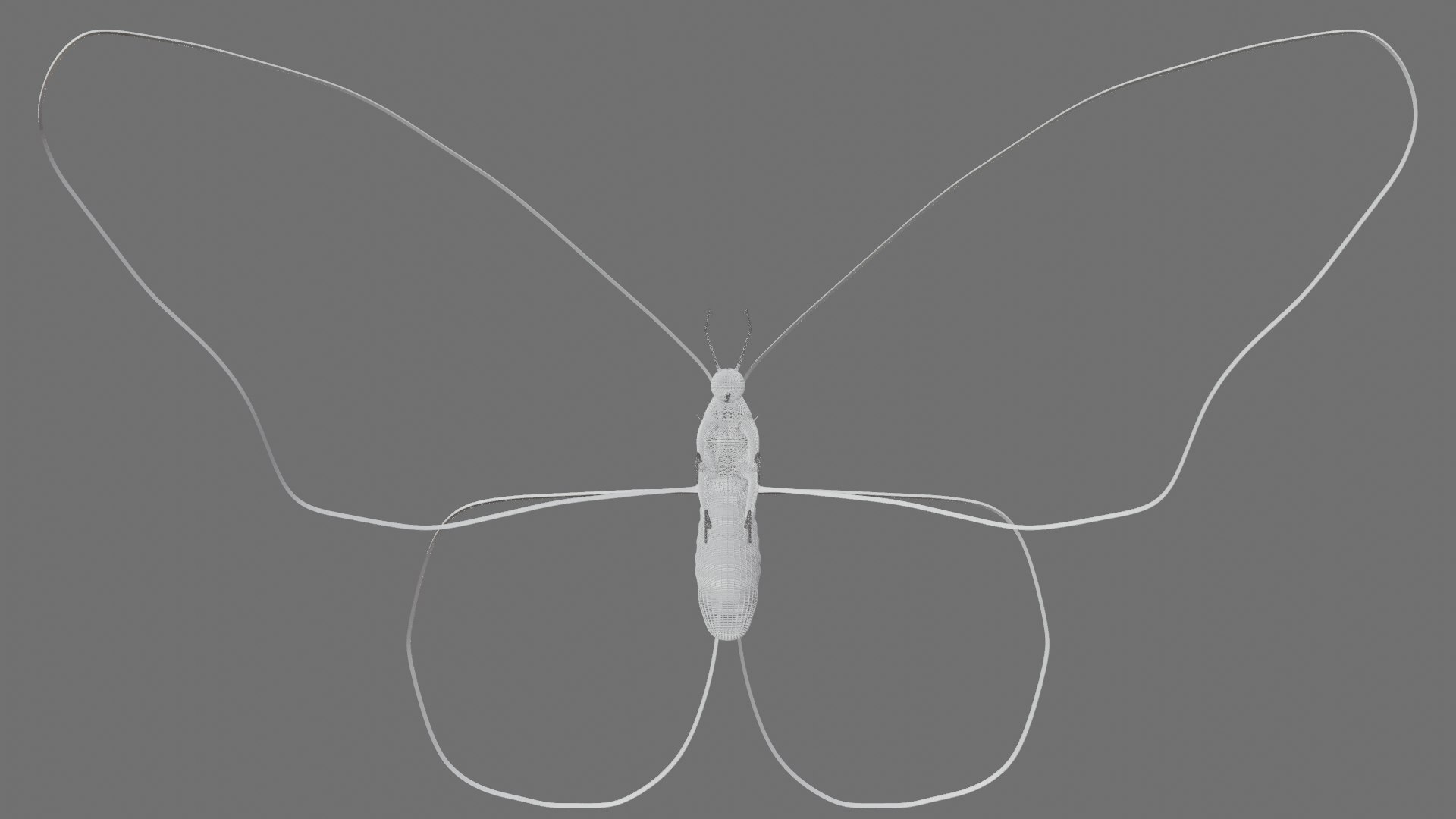 Animated Butterfly 3D model - TurboSquid 1924749