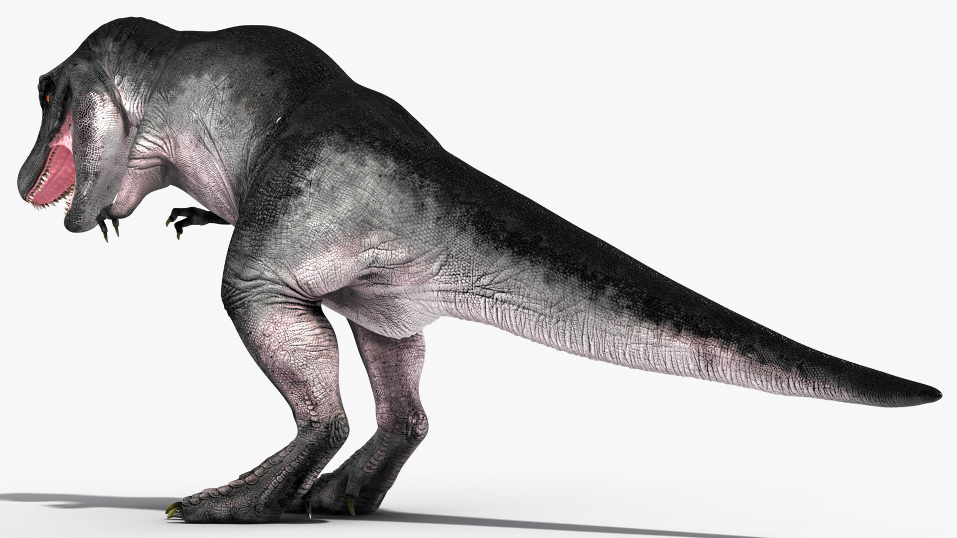 3D T Rex Eating Animated Rigged for Maya - TurboSquid 2105630