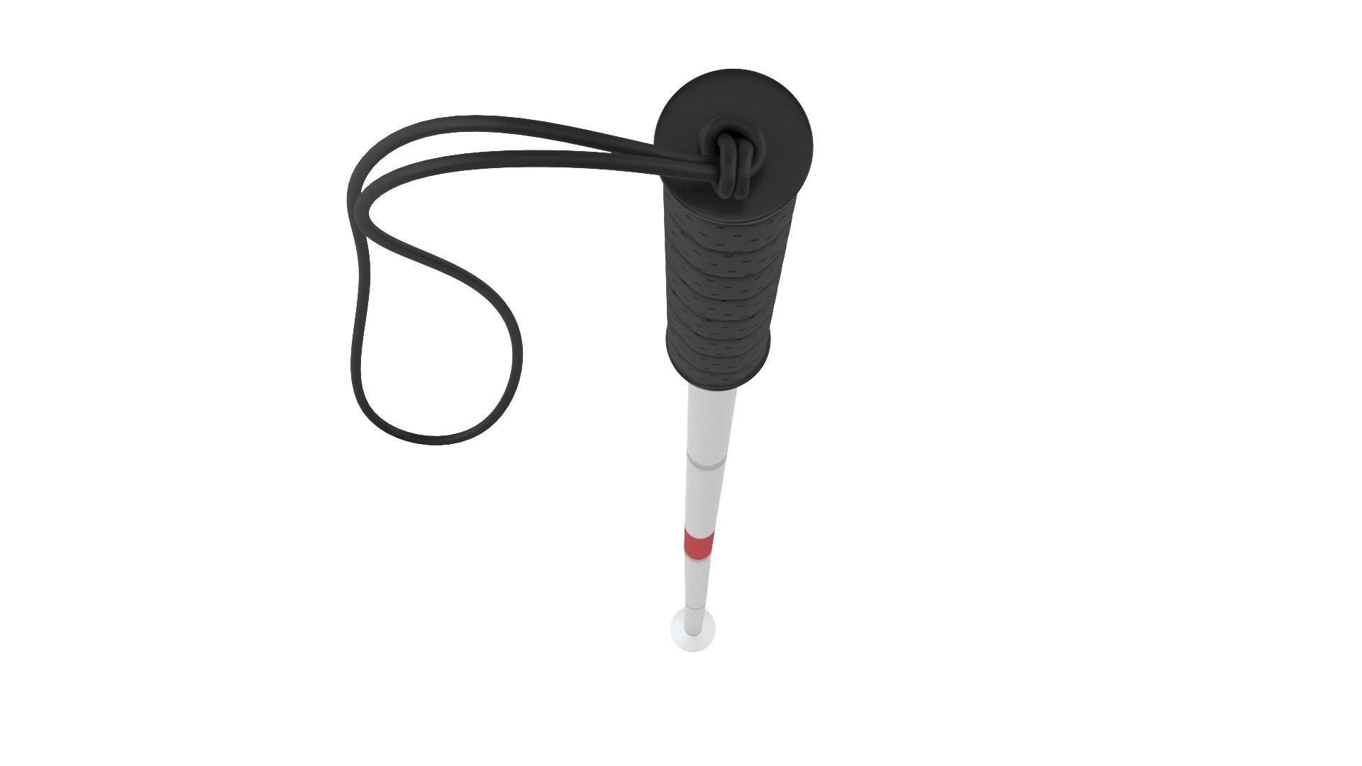 3D Guide Cane Model - TurboSquid 1818710