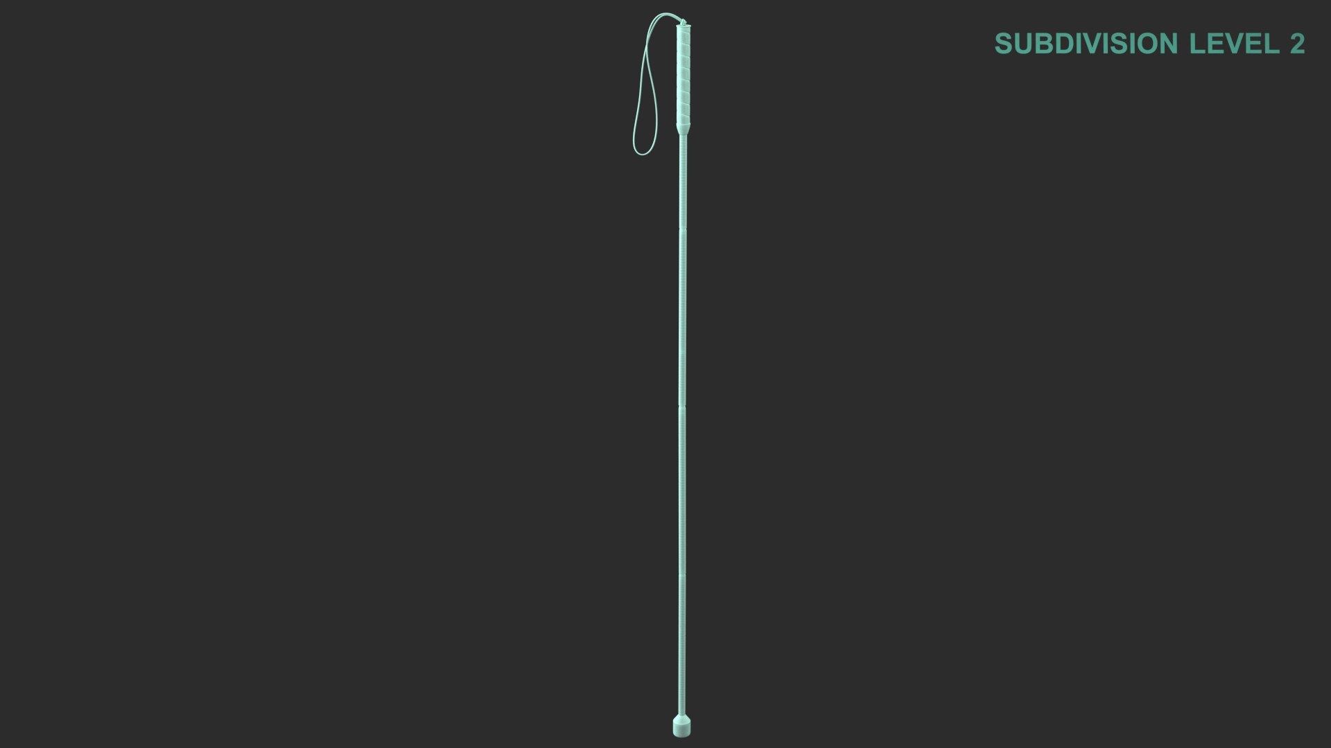 3D Guide Cane Model - TurboSquid 1818710