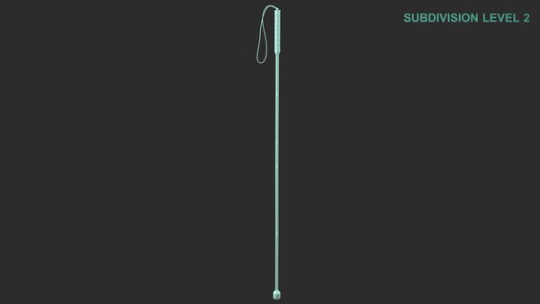 3D Guide Cane model - TurboSquid 1818710