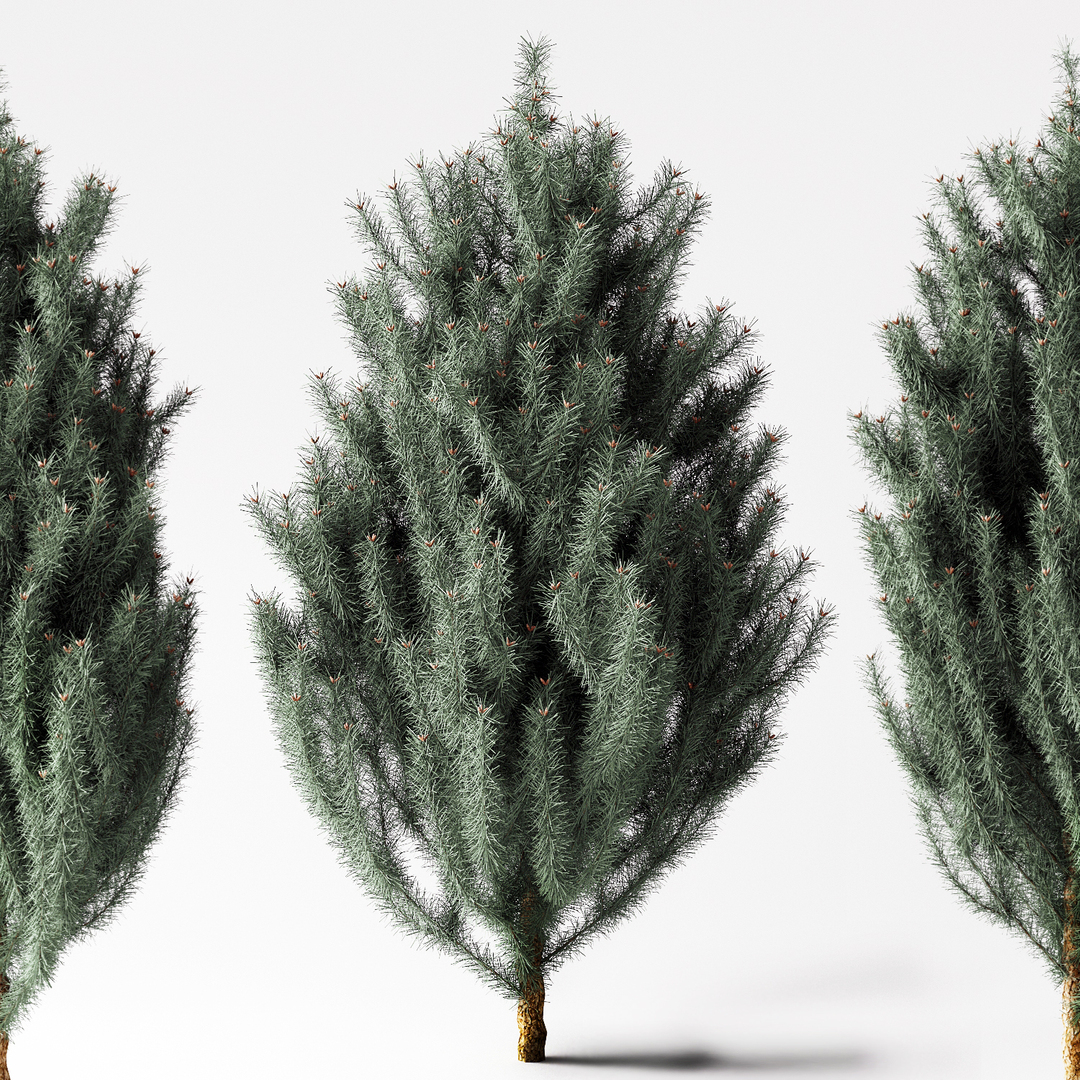 3d max pine tree