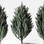 3d max pine tree