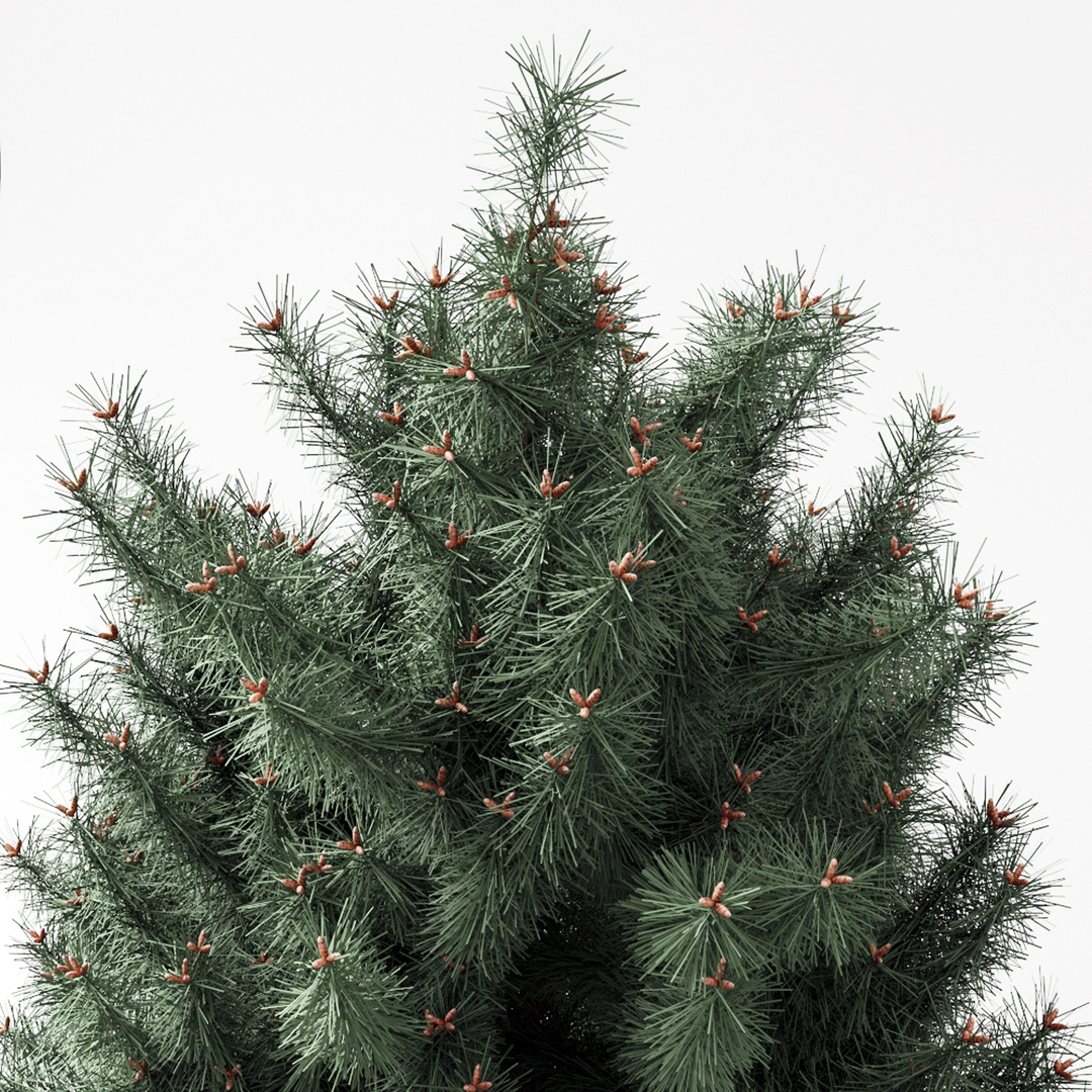 3d max pine tree