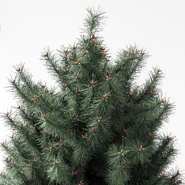 3d max pine tree