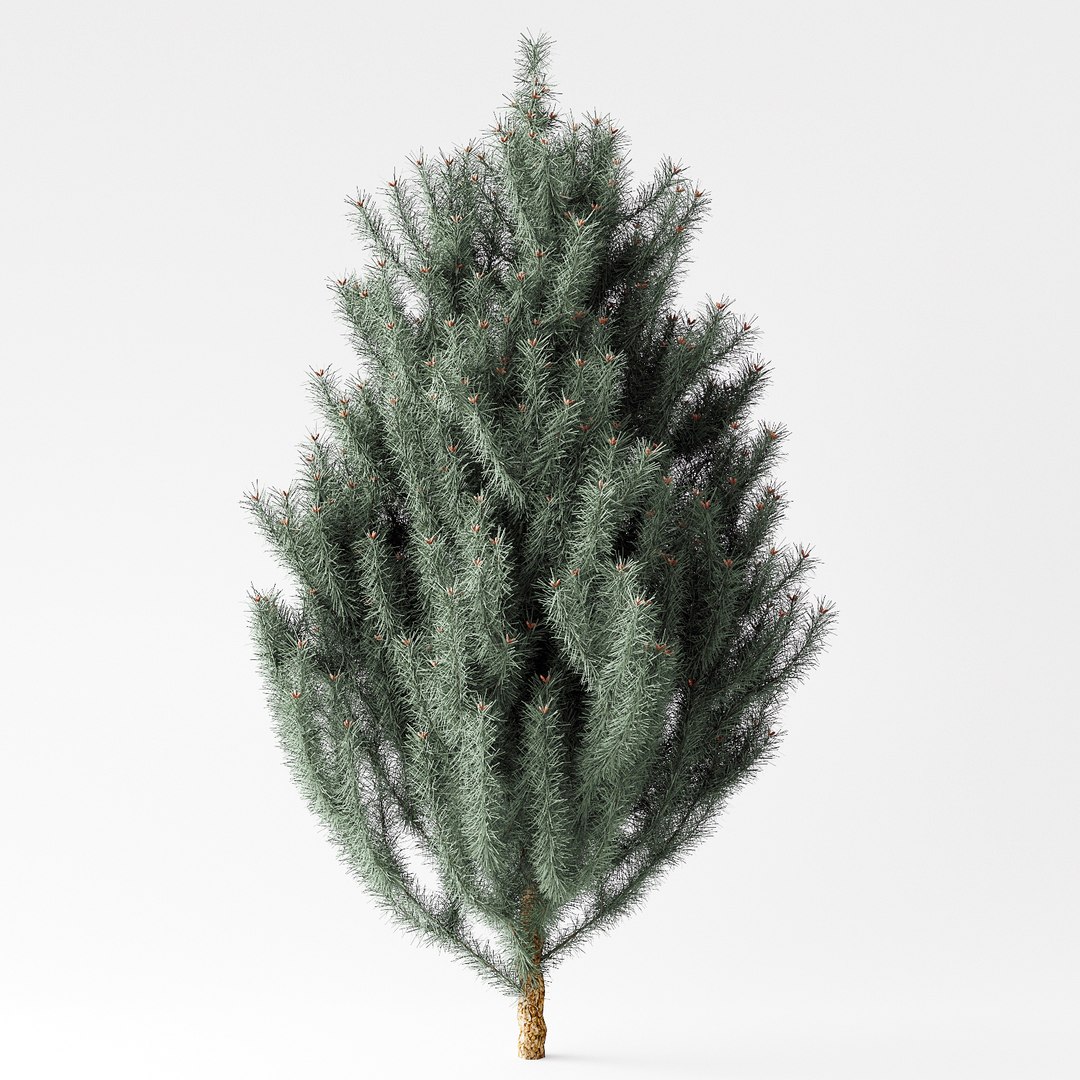 3d Max Pine Tree