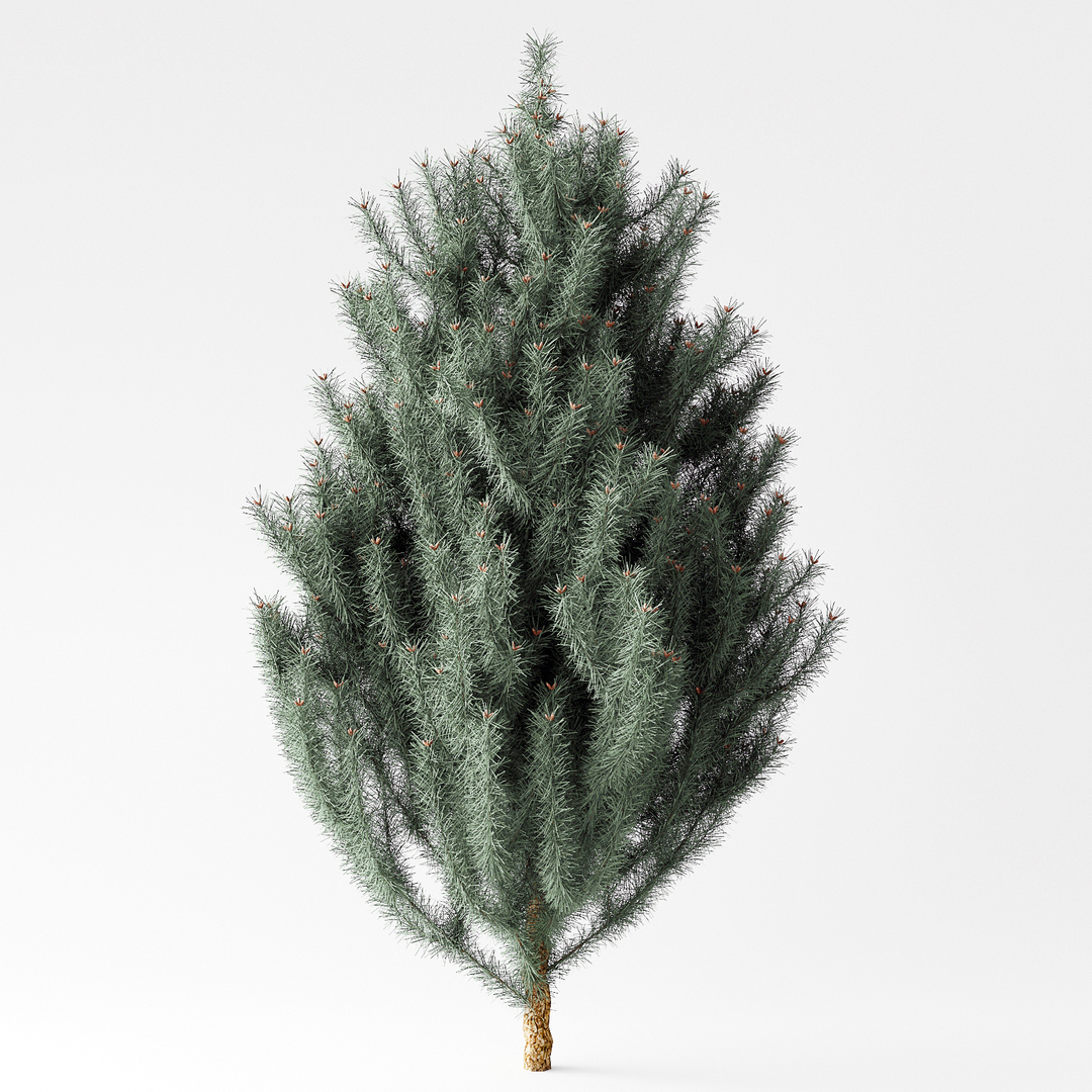 3d max pine tree